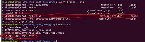 Linux Command To Get Mdns Service Discovery And To Get Its Ip Address