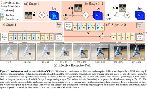Human Pose Detection Estimation Tensormsa