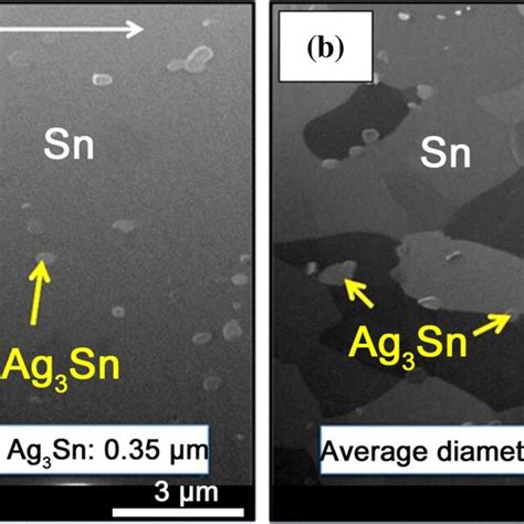 focus ion beam image of ag3sn grain interface a stressing under