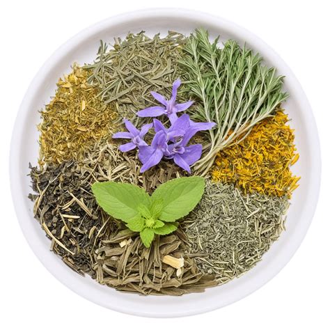 Herbal Infusions Free Photo Download Freeimages