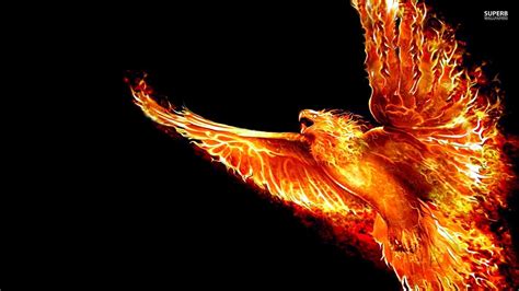 Phoenix Bird Wallpapers Wallpaper Cave