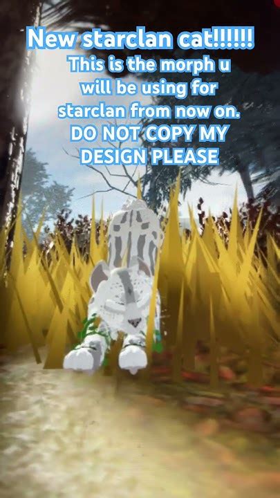 I Wanna See You On The Floor Wcue New Starclan Morph Wcue Wcueedit