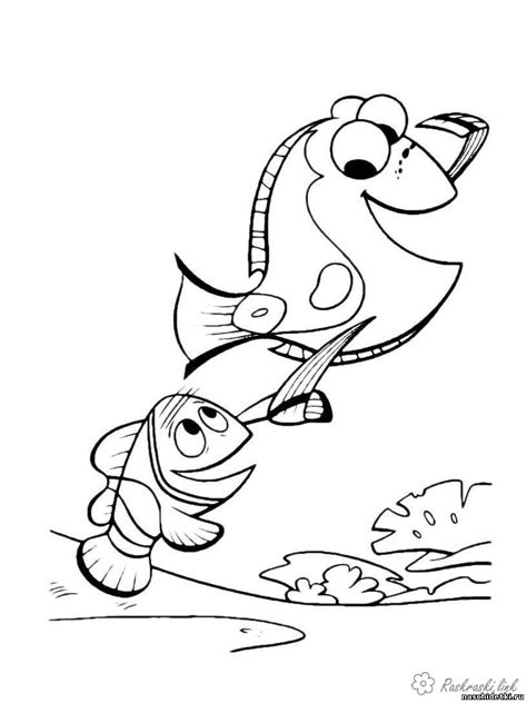 В поисках Немо Раскраски распечатать бесплатно