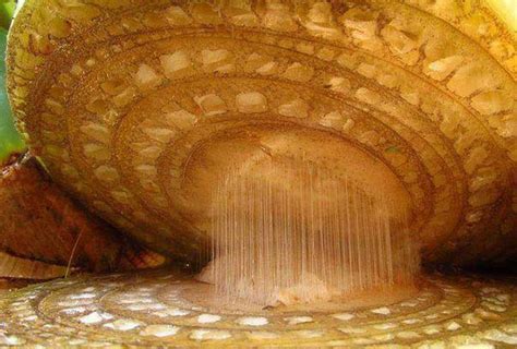 18 Common Things That Look Mesmerizing Under A Microscope