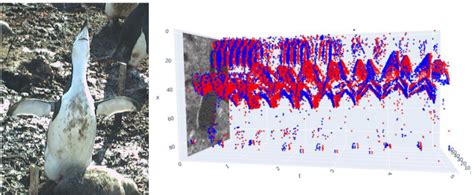 논문 리뷰 Fourier Based Action Recognition For Wildlife Behavior