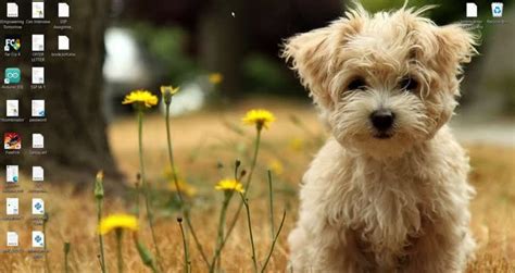 Kishore Kumar H On Linkedin Codsoft Tkinter Python Programming Internship