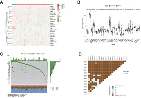 Differential Expression Of Interferon Gamma Response Genes Between Download Scientific Diagram