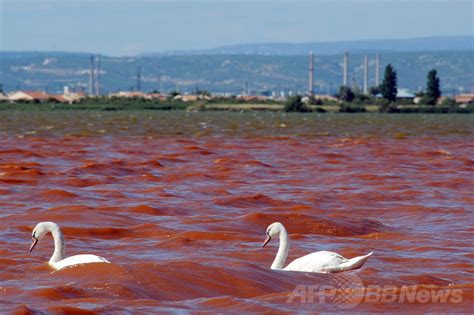 【特集】世界各地の水質汚染 写真29枚 国際ニュース：afpbb News