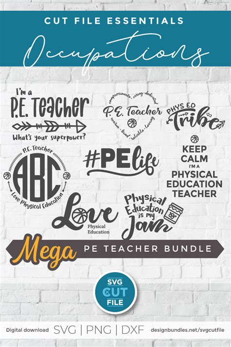 Pe Teacher Svg Bundle Physical Education Teacher Svg Files