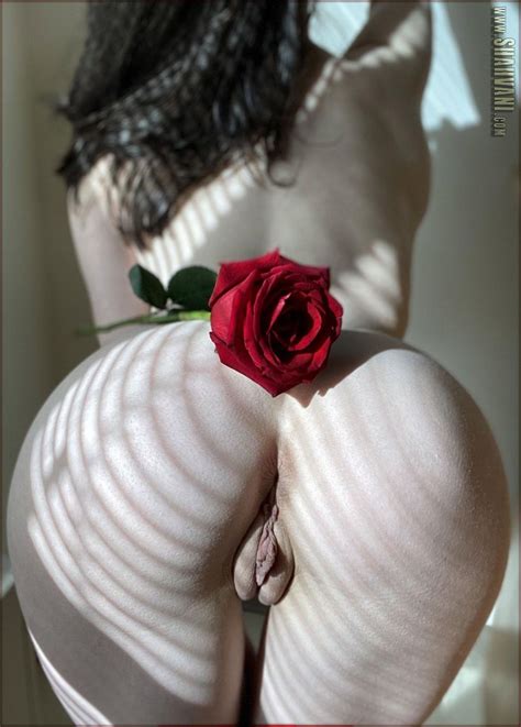 گالری اروتیک