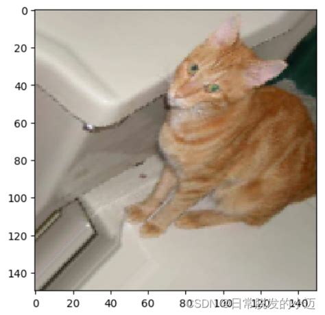 【人工智能与机器学习】基于卷积神经网络cnn的猫狗识别基于卷积神经网络的猫狗识别 Csdn博客