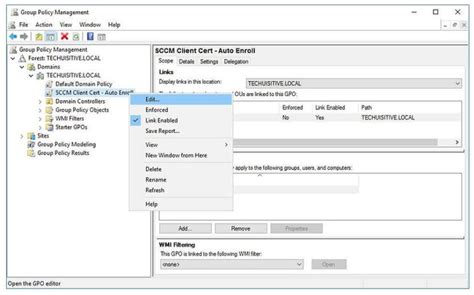 Issue And Auto Enroll Client Authentication Certificate For Sccm Clients Techuisitive