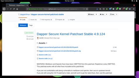 Celebrating 100 Releases Of Dapper Secure Kernel Patchset