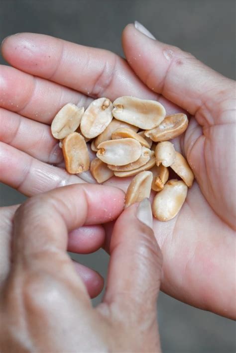 Do Peanuts Go Bad Peanut Shelf Life Explained