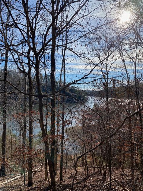 Wallace Tutt On Linkedin Realestate Propertydevelopment Dreamhome Tuttlandteam