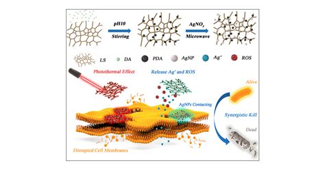 Engineering Of Near Infrared Activated Ligninpolydopaminenanosilver