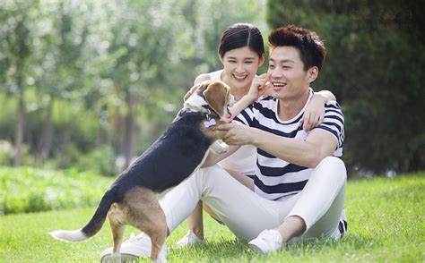 如果老公不让养狗，而老婆又特别喜欢狗怎么办？