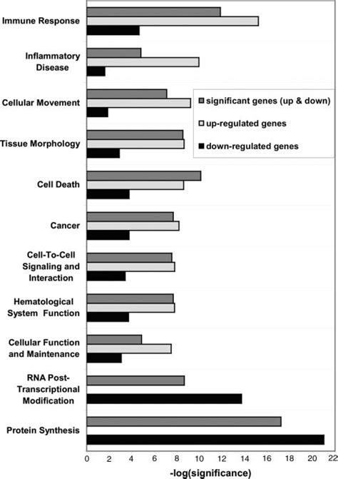Functional Analysis Of Genes Found To Be Significant At Q 0 1 In The Download Scientific