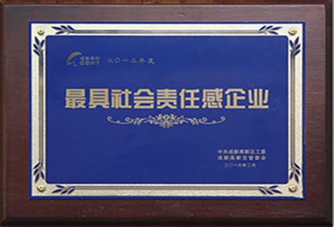 发展历程