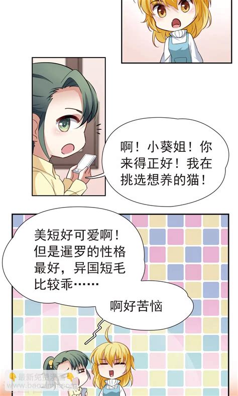 番外1 小百科 玄羽戀歌 包子漫畫