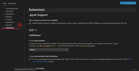 Vs Code Debug