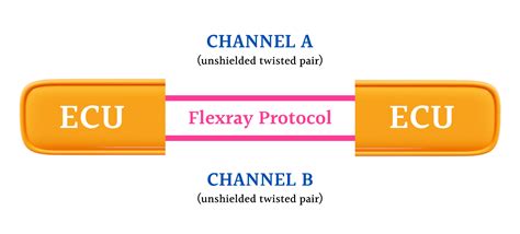 Exploring Flexray Automotive Communication Bus Dynamics