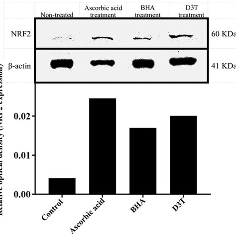 Vector Maps A Pgl4 14 Vector B Prl Tk Vector Download Scientific Diagram
