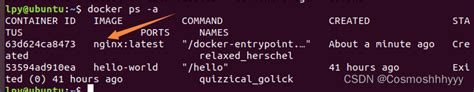 springbootjava操作dockerdocker java的基本使用 java调用docker CSDN博客