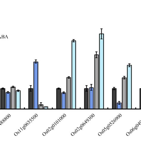 Validation Of Rna Seq Data By Quantitative Real Time Polymerase Chain Download Scientific