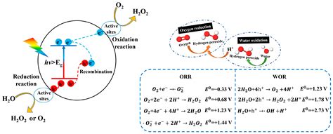 S Scheme Heterojunction Photocatalyst For Photocatalytic H2o2