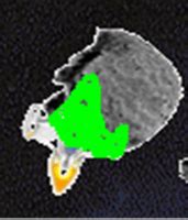 How Pixel Perfect Collision Detection Works Learn C Games Programming Blog