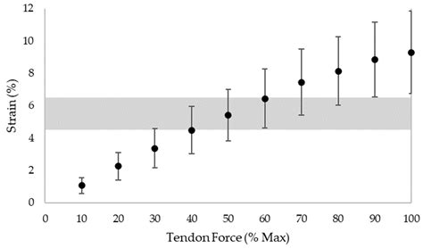 Jcm Free Full Text Foundational Principles And Adaptation Of The Healthy And Pathological