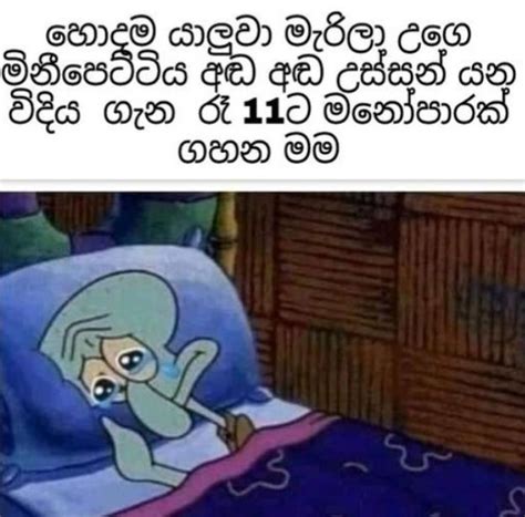 අඩෝ බොක්ක😢 R Tkasylum