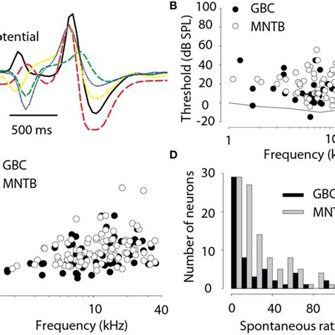 A Examples Of Extracellular Voltage Waveforms Illustrating The