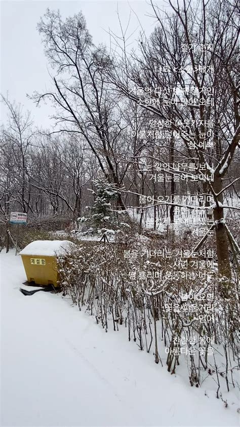 소곰누룽지 추워진 11월 포근한 솔트룸에서 따뜻한 소금차를 마시며 를 읽었어요 다시세상끝의카페 존스트레레키 고상숙옮김 클레이하우스 고마온 솔트룸도 세상에