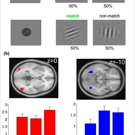 Predictive Coding In Visual Perception Predictive Coding 404143