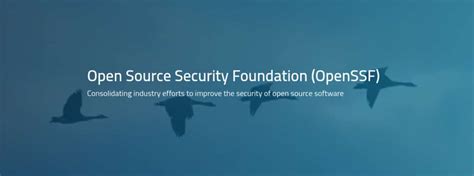 Openssf The Linux Foundation Se Prepara Para Mejorar La Seguridad Del Software De Código
