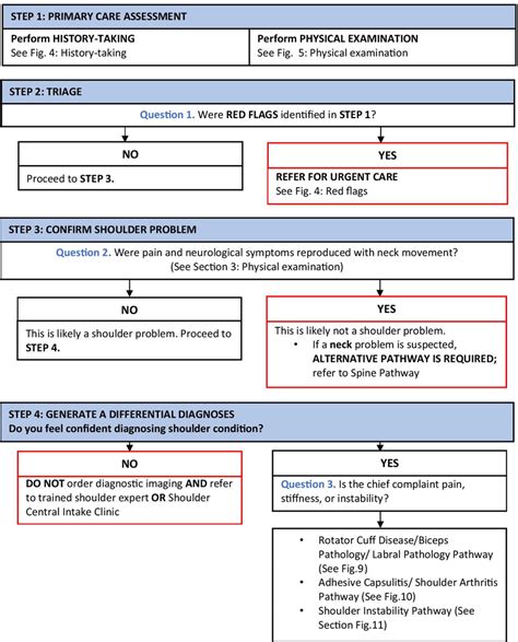 Clinical Management Algorithm For Assessing And Managing Shoulder Pain Clinical Management Algorithm For Assessing And Managing Shoulder Pain