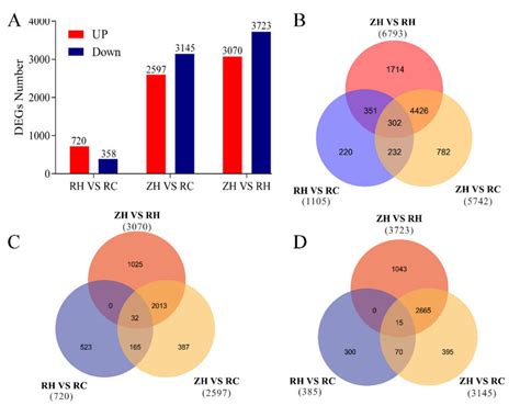 Transcriptome Data Differential Gene Numbers And Venn Diagram A For