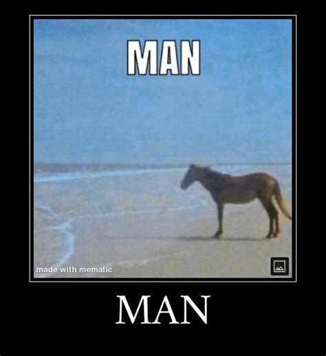 The Man Horse Meme Part Man Part Horse All Meme