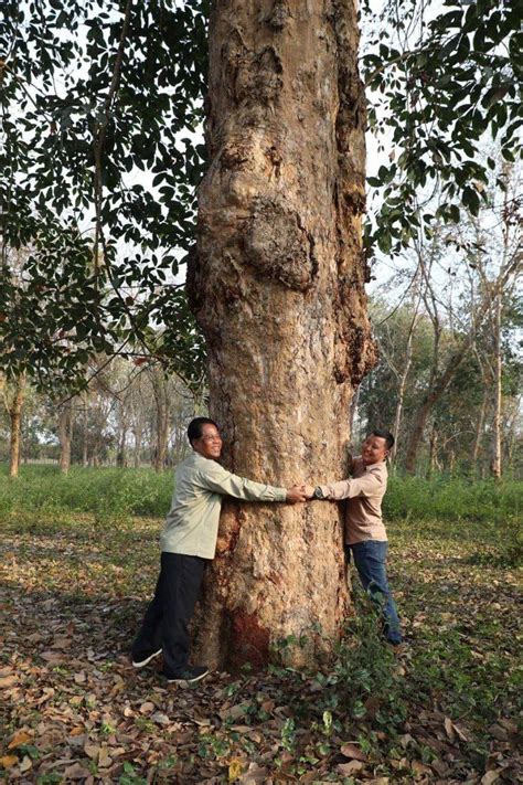 លោក ឌិត ទីណា ៖ លើកទឹកចិត្តឱ្យមានការសរសេរអត្ថបទកៅស៊ូថ្មី ដែលមានលក្ខណៈបែបវិទ្យាសាស្ត្រ
