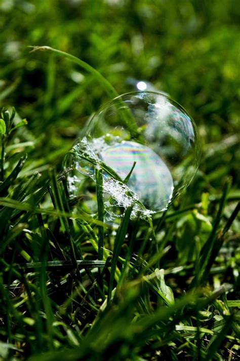 Bubble Grass Ball Soap Free Photo On Pixabay Pixabay