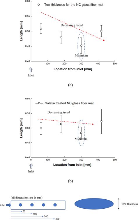 Tow Thickness At Cross Sections Of The Deformed Tow At Different