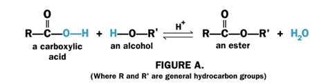 what are the uses of esters? - ORGANIC CHEMISTRY IN OUR DAILY LIFE