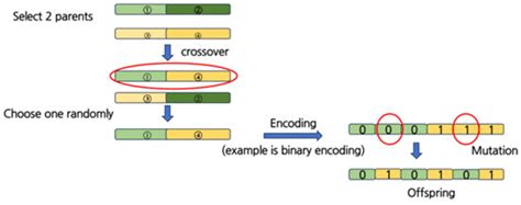 Mathematics January 2 2025 Browse Articles