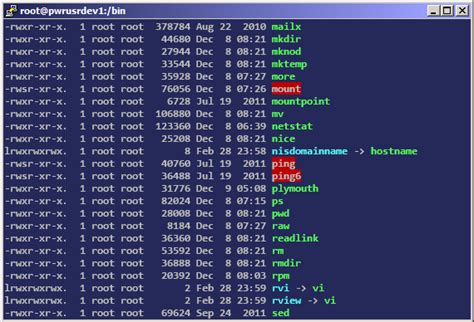 Set[uid][gid] Sticky Bits And Checksecurity Tools