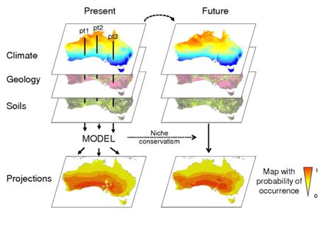 History Of Species Distribution Models