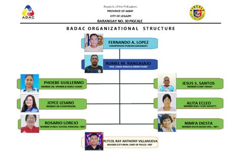 Badac Template Council Organizational Structure Pdf