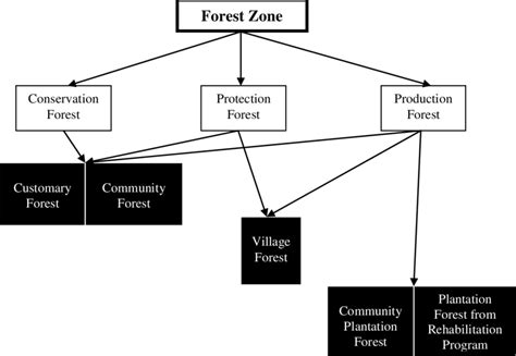 2 Conceptual Framework Of Community Based State Forest Management