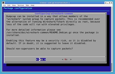 Network Analysis With Wireshark Labex